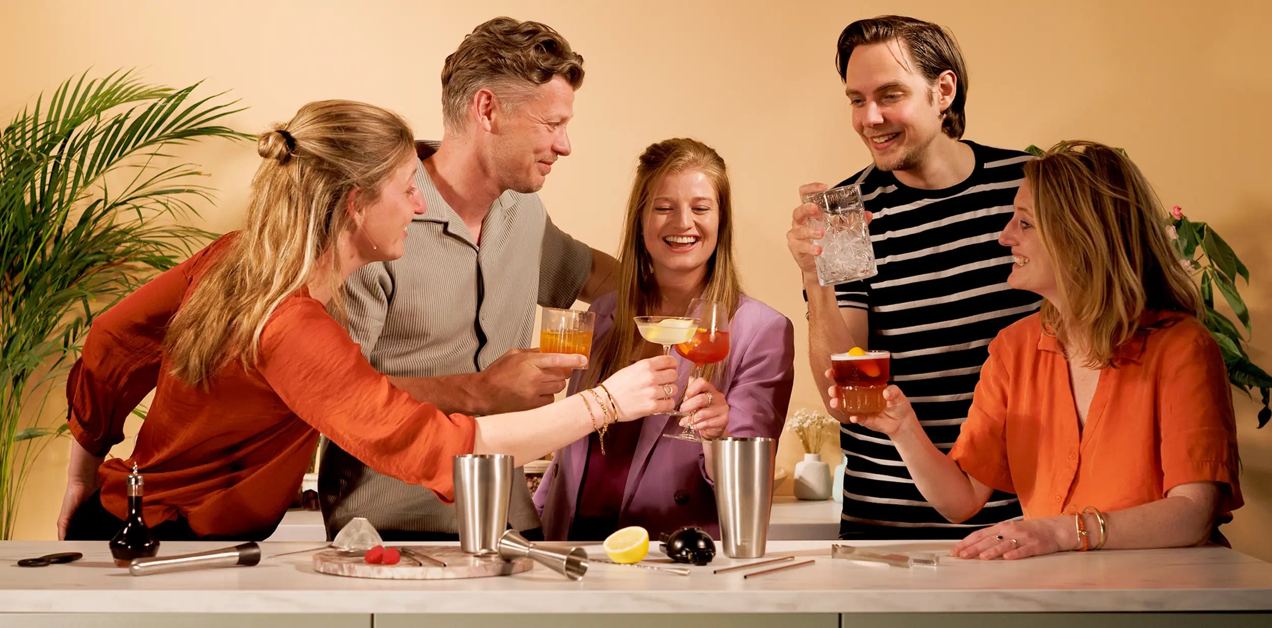 Cocktail Party | Essential Accessories for Home Bartenders | Vacu Vin BV